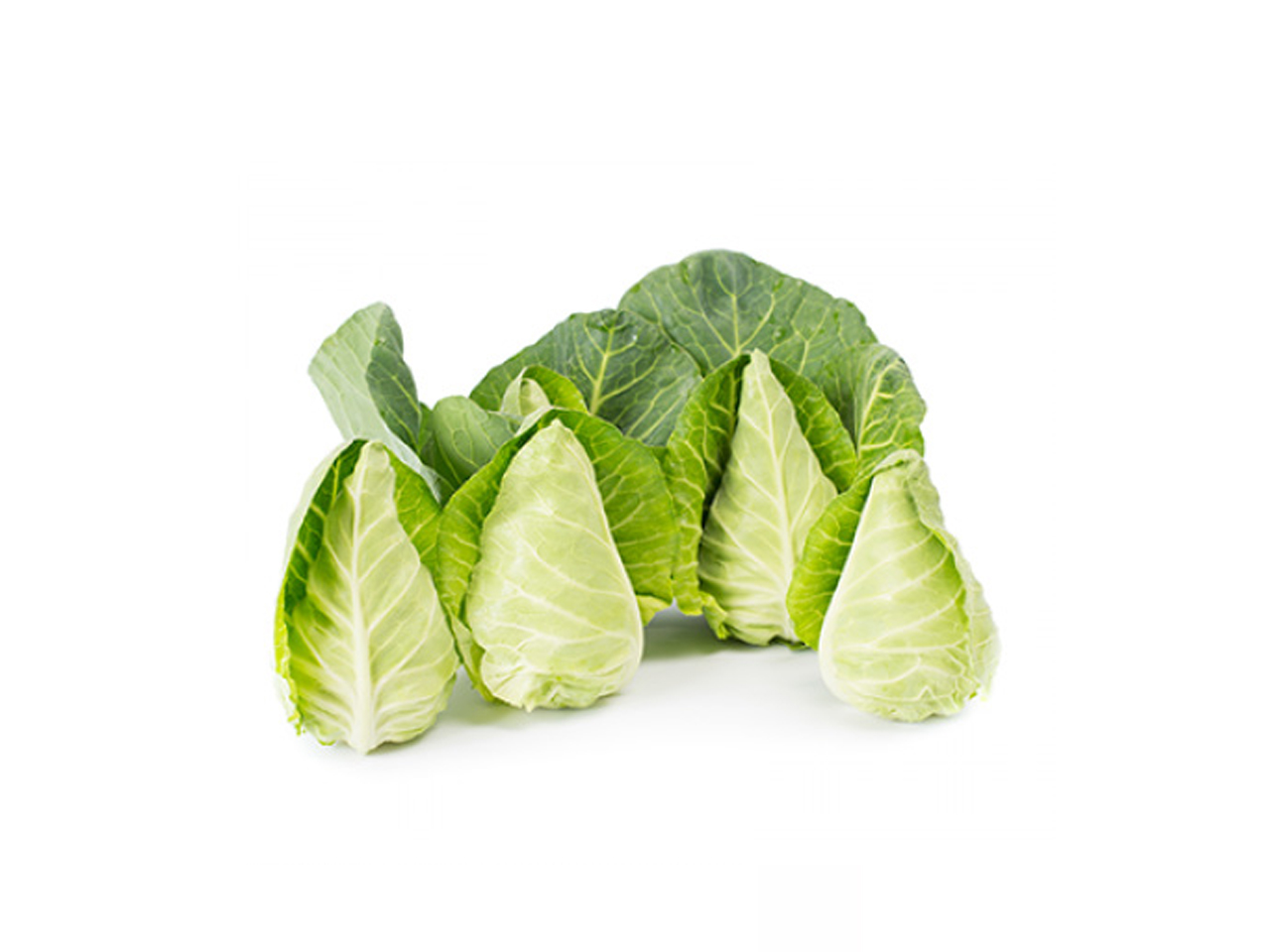 COL PICUDA - Toledano Fresh